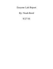 Enzyme Lab Report Enzyme Lab Report By Noah Reed Abstract The Main Point Of The