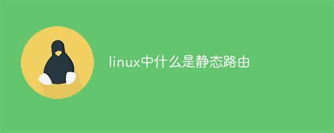 Linux中什么是静态路由 站长资讯网