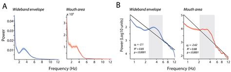 Temporal Modulations In The Visual And Auditory Signals A Left Download Scientific Diagram