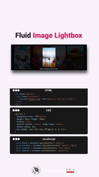 Fluid Image Lightbox Using Html Css And Javascript Shorts Shortfeed