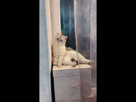 Для мужиков😺 - YouTube