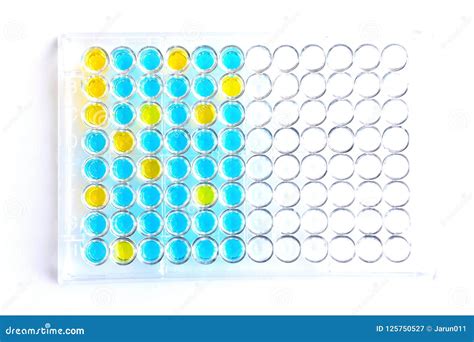 Enzyme Linked Immunosorbent Assay Plate Stock Image Image Of