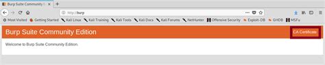 Hacking For Beginners Burp Suite Tutorial Techsphinx