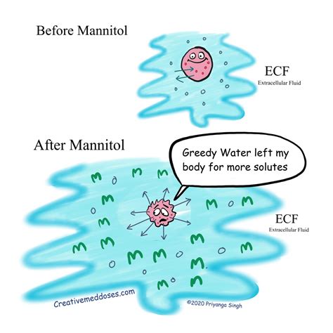 Mannitol And Ecf Expansion Creative Med Doses