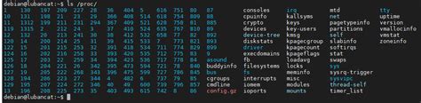 4 查看开发板系统信息 — 野火 嵌入式linux基础与应用开发实战指南——基于imx8mmini开发板 文档