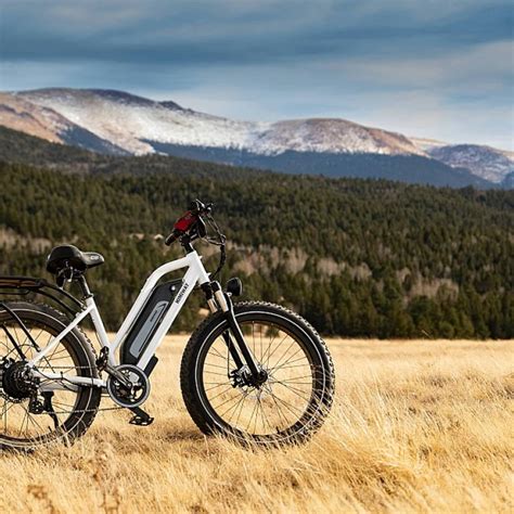 Quel Vélo électrique Choisir Pour Vos Besoins