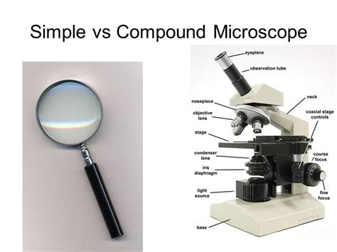 What Is The Difference Between Simple Microscope And Compound Microscope