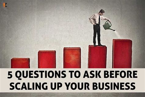 5 Questions To Ask Before Scaling Up Your Business | by The Entrepreneur Review | Medium