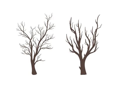 26034809 Tree Limbs Vector Images Depositphotos