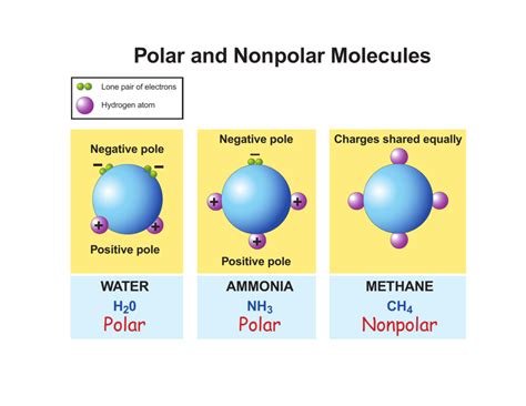 Polar And Nonpolar Molecules