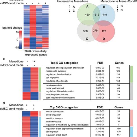 Rna Seq Analysis Of Imr90 Cardiomyocytes ± Menadione And Download