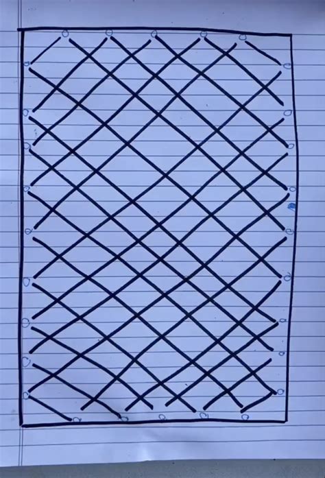 I Created A Cheap DIY Privacy Wall For Less Than 20 It Was Ready In A Couple Of Hours And