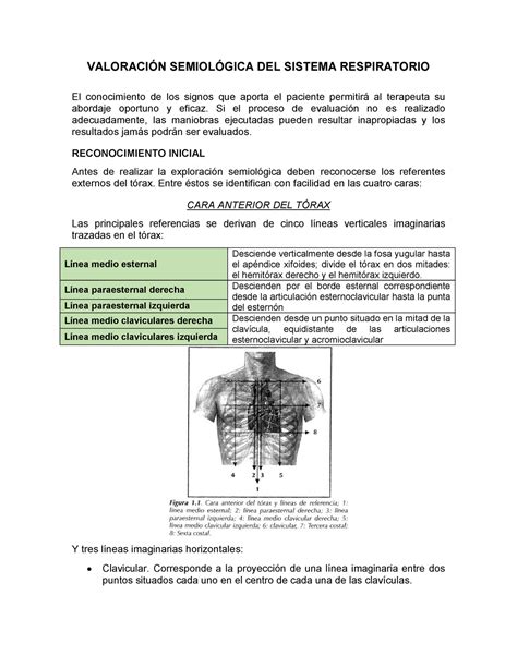 Valoración Semiológica del Sistema Respiratorio - Warning: TT: undefined function: 32 Warning ...
