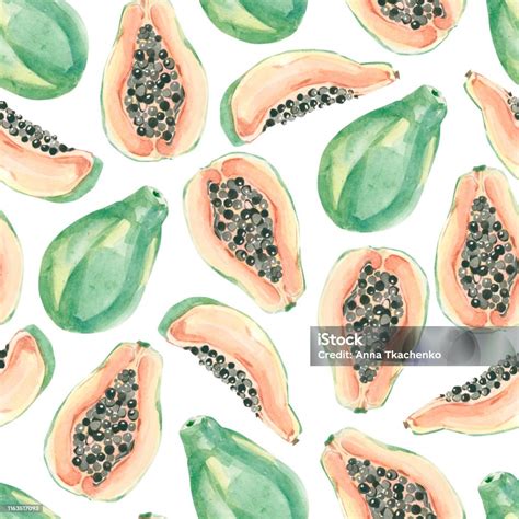 수채화 여름 이국적인 과일 패턴 열대 과일입니다 손으로 흰색 배경에 이국적인 꼬리를 그린 파파야 직물 Und 벽지에 대한 여름