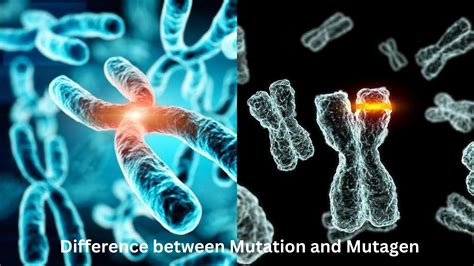 difference between mutation and mutagen a blog with a difference