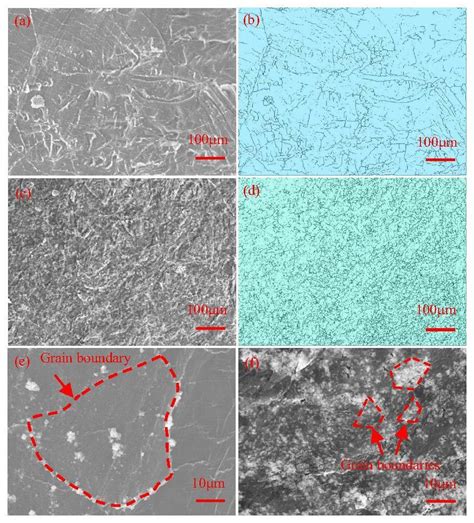 一种新型锂金属电池抑制负极锂枝晶生长的方法与流程