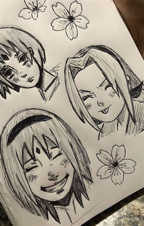 Sakura Sketch Drawing