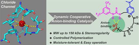 Unimolecular Anion‐binding Catalysts For Selective Ring‐opening Polymerization Of O
