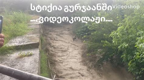 სტიქია გურჯაანში რამდენიმე საათის წინ Youtube