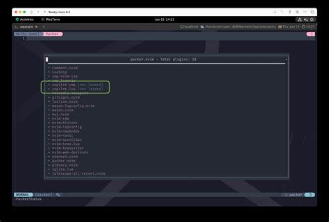 Copilot Cmp Commentary Of Dotfiles