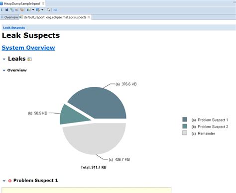 Running Leak Suspect Report