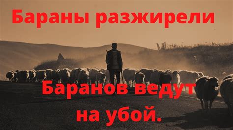 Мобилизация в россии Бараны разжирели баранов ведут на убой Youtube