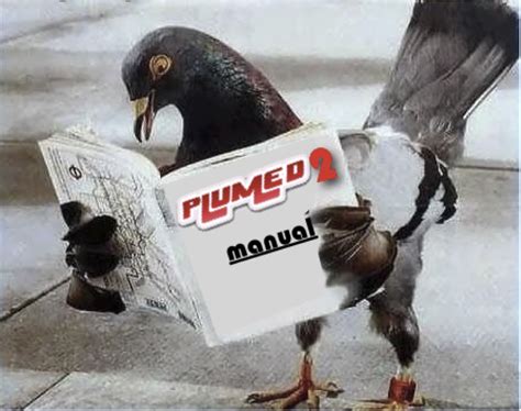 Plumed Metadynamics Plumed Metadynamics
