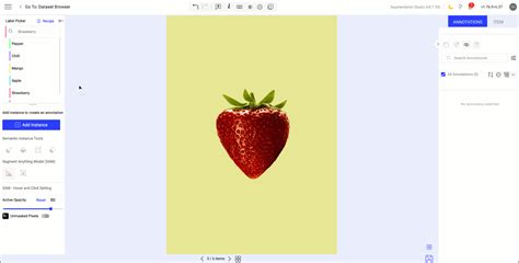Instance Segmentation Studio