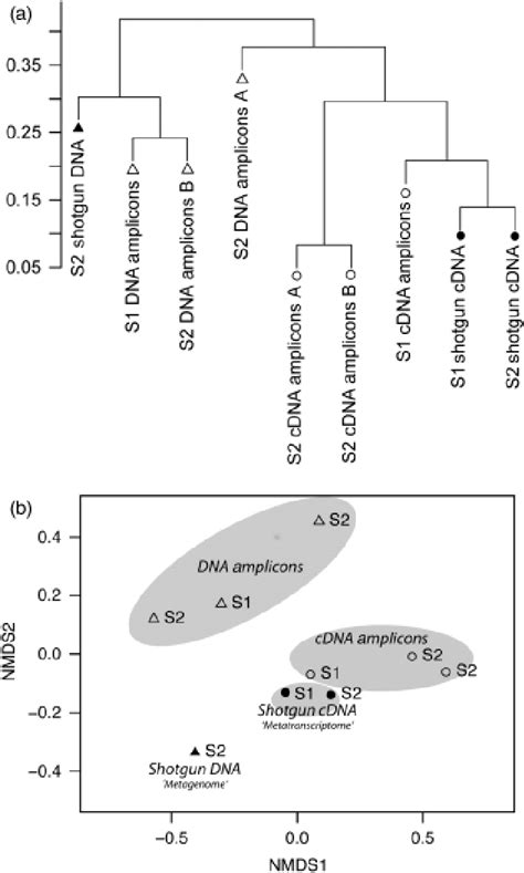 dendrogram resulting from hierarchical average linkage clustering a