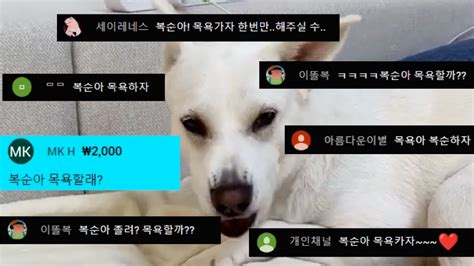 구독자 모두가 집단광기에 빠져있는 채널 Youtube