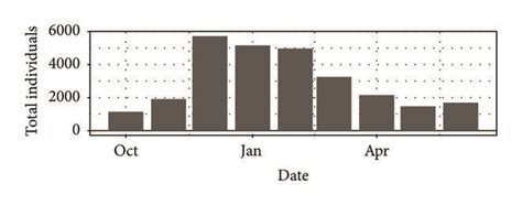 Bird Species Abundance All Species Observations Summed In The Iraqi