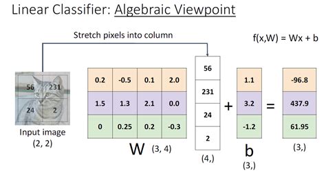 Linear Classifiers