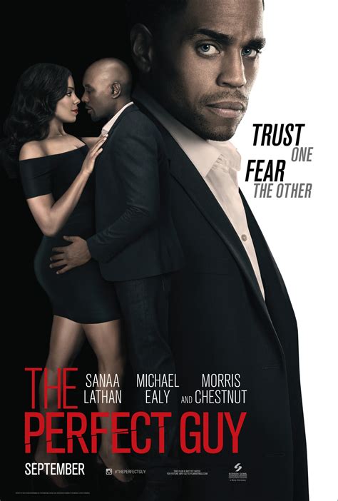 The Perfect Guy 2015