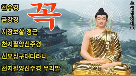 💸 막힌 돈의 에너지가 술술 풀린다 돈은 쉽게 내게 온다🌕 잠재의식 정화 돈을 끌어당기는 명상음악 🙏 금강경 관세음보살정근 불교의 지혜 Youtube