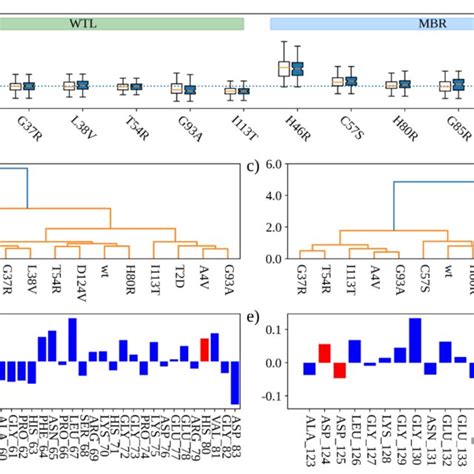 Box Plots Depicting Radius Of Gyration Rg Comparison Of The Wt Sod1