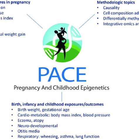 Flow Diagram Of The Analytical Processes Download Scientific Diagram