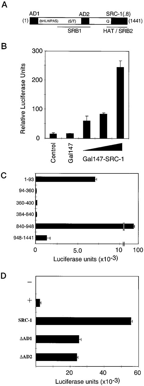 Src 1 Contains Intrinsic Transcription Activation Domains A
