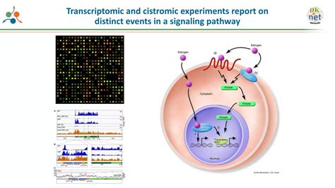 Dknet Webinar The Signaling Pathways Project An Integrated ‘omics