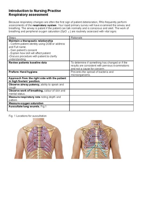 Respiratory Assessment Introduction To Nursing Practise Respiratory