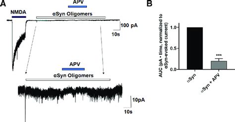 Oligomeric Asyn Induces Nmdar Mediated Currents In Hipsc Derived
