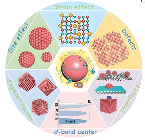 Polyester Vs Polyamide Expert Level Guide