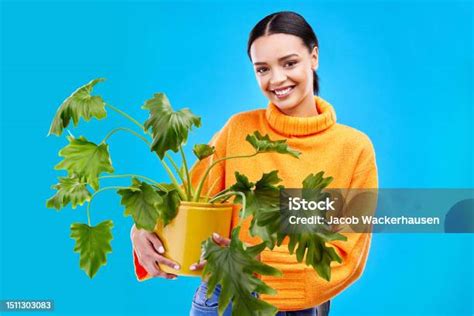지속 가능성 초상화 그리고 푸른 배경에 식물 미소 집 식물이 있는 스튜디오에서 행복한 여성 정원 가꾸기 Z세대 소녀를 위한 지속 가능하고 친환경적인 취미 모형과 친환경 배경