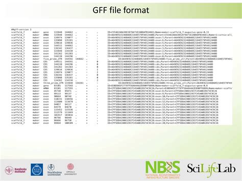 Ppt Practical Information On Genome Annotation Understanding The