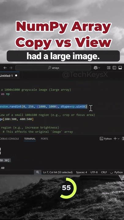 Numpy Array Copy Vs View In Python Youtube