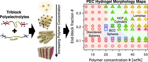 Structure Morphology And Rheology Of Polyelectrolyte Complex