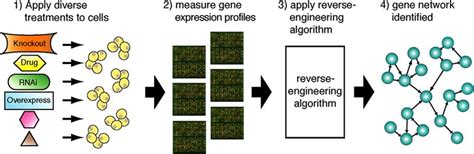 Schematic Diagram Of Reverse Engineering Approaches To Drug Discovery Download Scientific