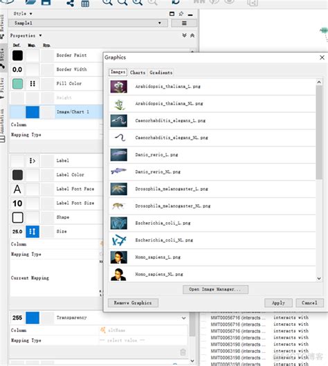 Gephi 共现网络数据可视化 Cytoscape可视化共表达网络mob6454cc63081f的技术博客51cto博客 Gephi 共现网络数据可视化 Cytoscape可视化共表达网络mob6454cc63081f的技术博客51cto博客
