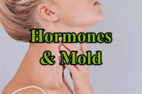Rewriting Mold Mold And The Hormonal System Sanctuary Functional
