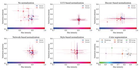 [1902 06543] Quantifying The Effects Of Data Augmentation And Stain Color Normalization In