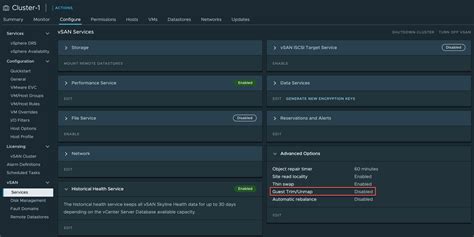 Quick Tip How To Check If Vsan Trimunmap Is Enabled In Vmware Cloud